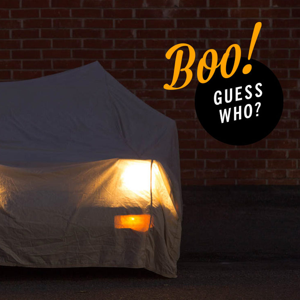 Boo! Guess Who? – Petrolicious