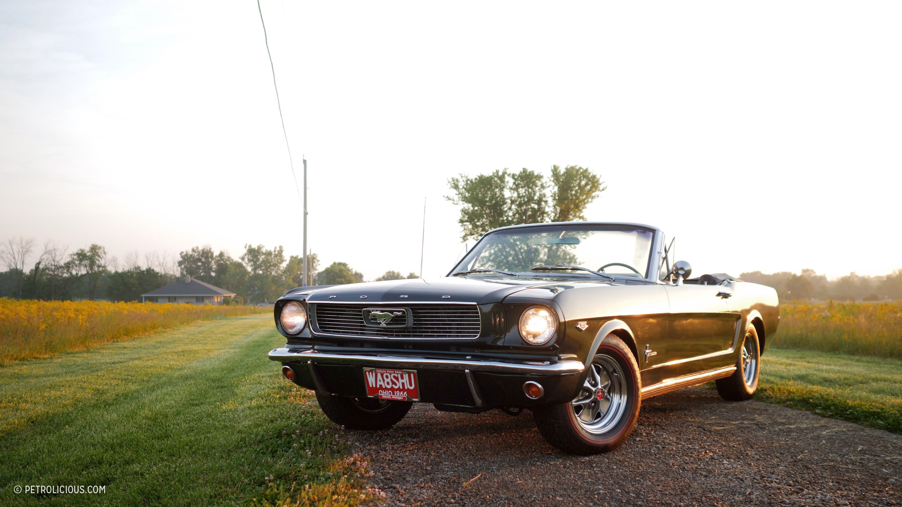 GALLERY: Behind The Scenes On Our 1966 Ford Mustang Film Shoot ...